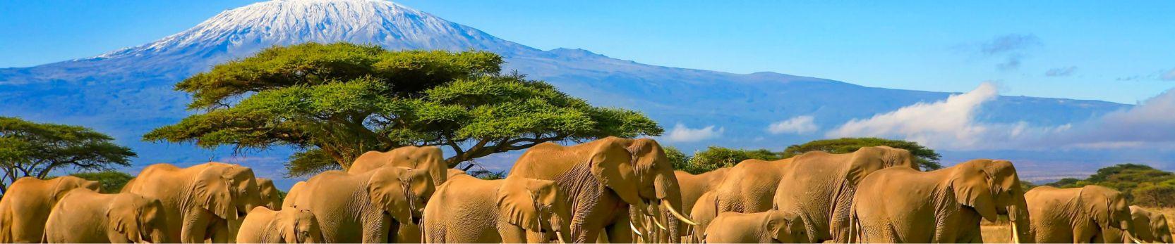 Offerta pacchetti vacanze Safari Tanzania all inclusive | Alpitour